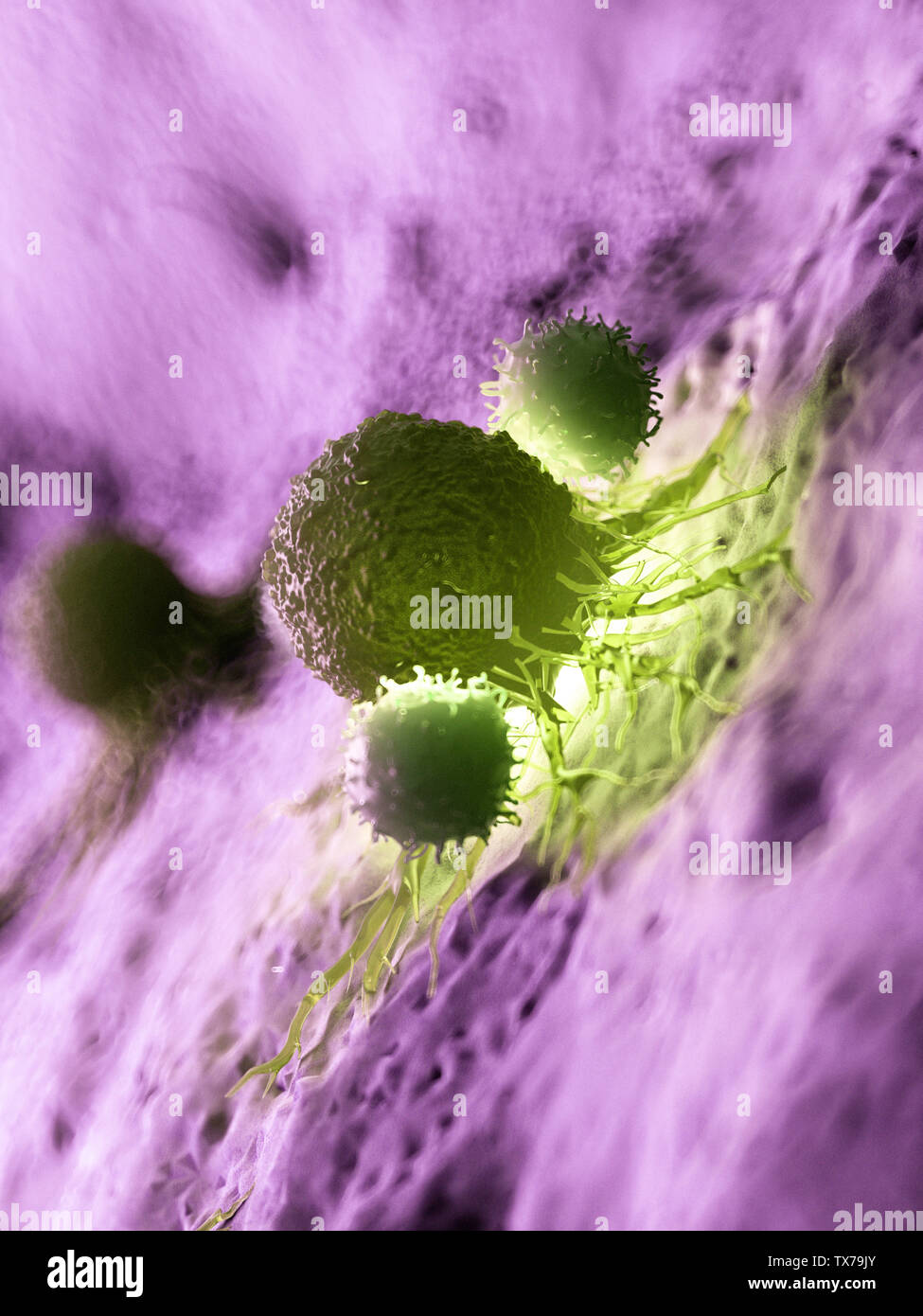 3d rendered medically accurate illustration of a cancer cell being ...