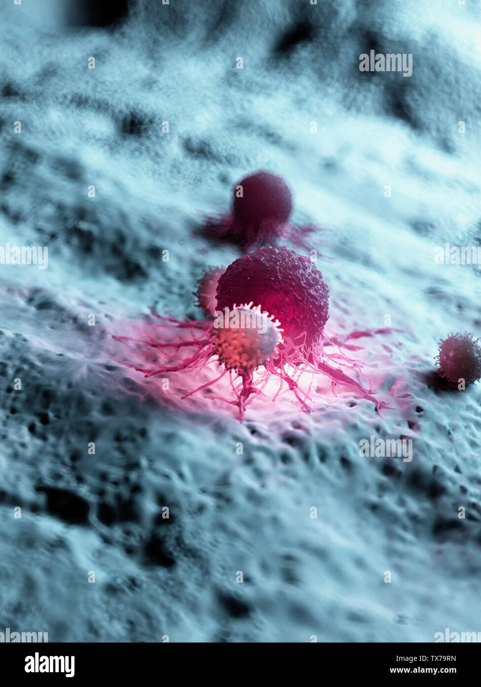 3d rendered medically accurate illustration of a cancer cell being ...