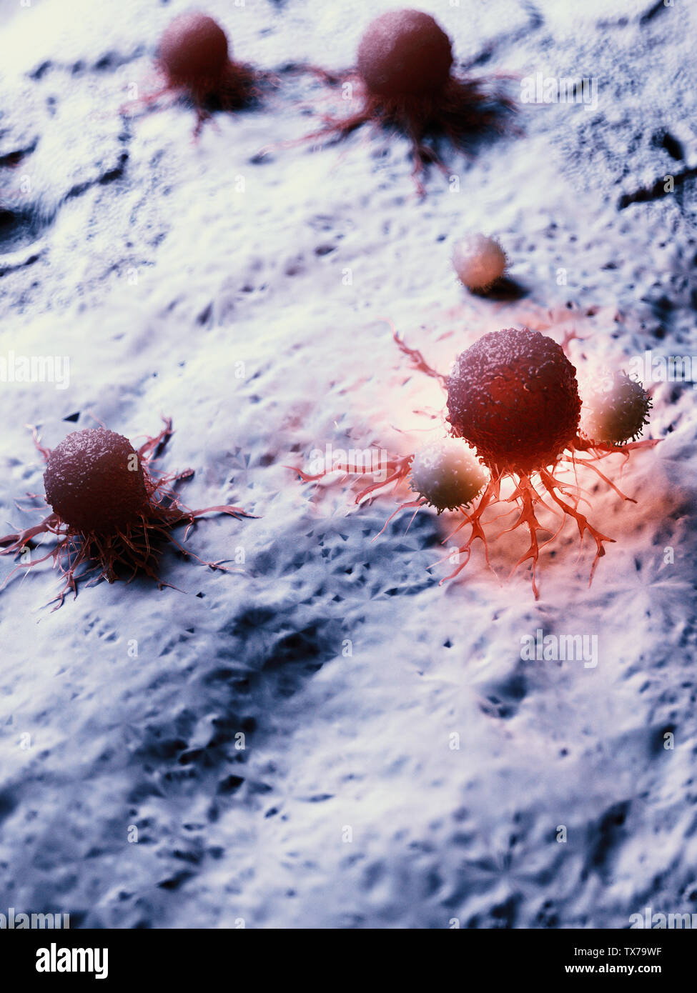 3d rendered medically accurate illustration of a cancer cell being ...