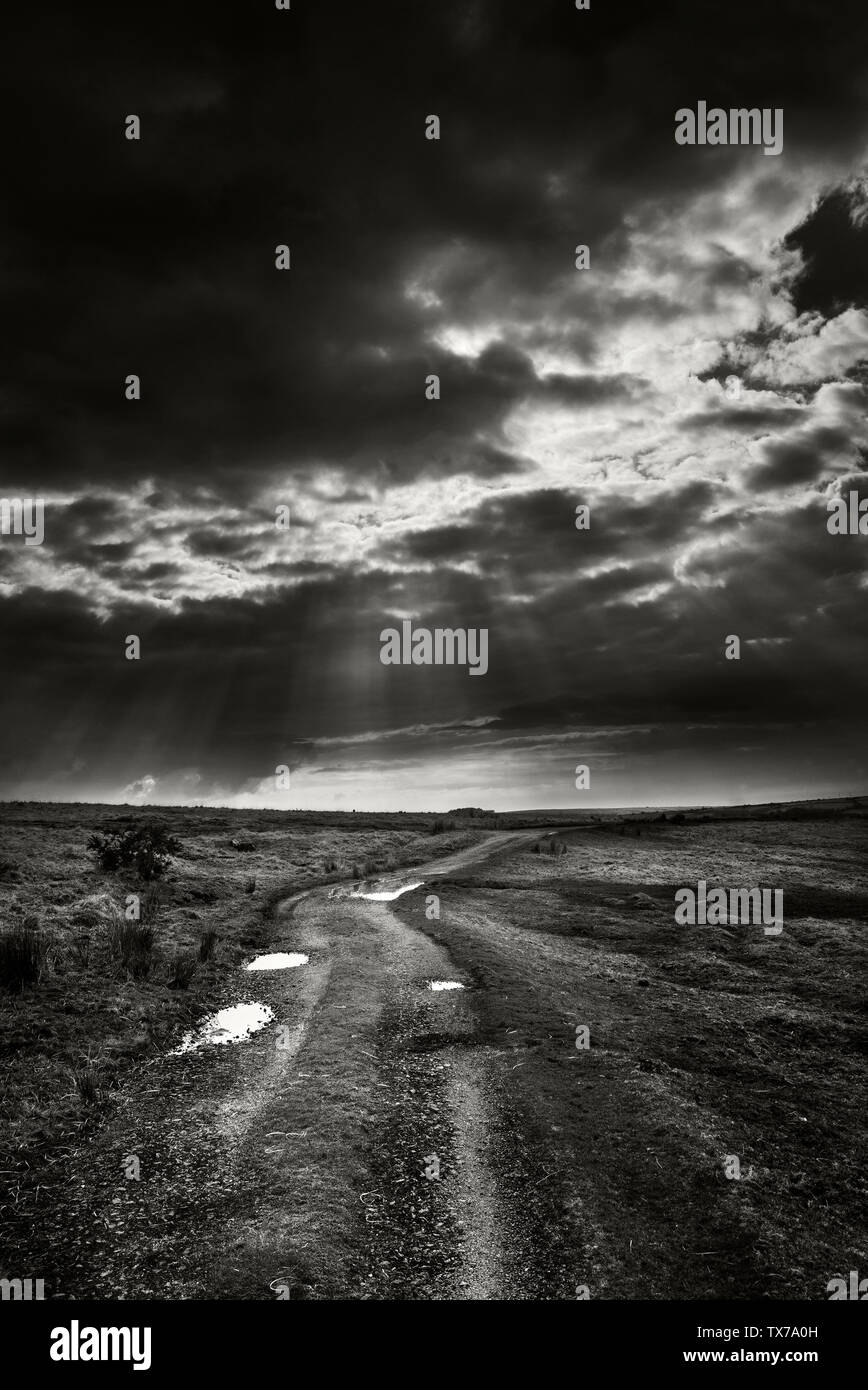 Bodmin moor after storm,dark sky sun breaking through on to granite ...