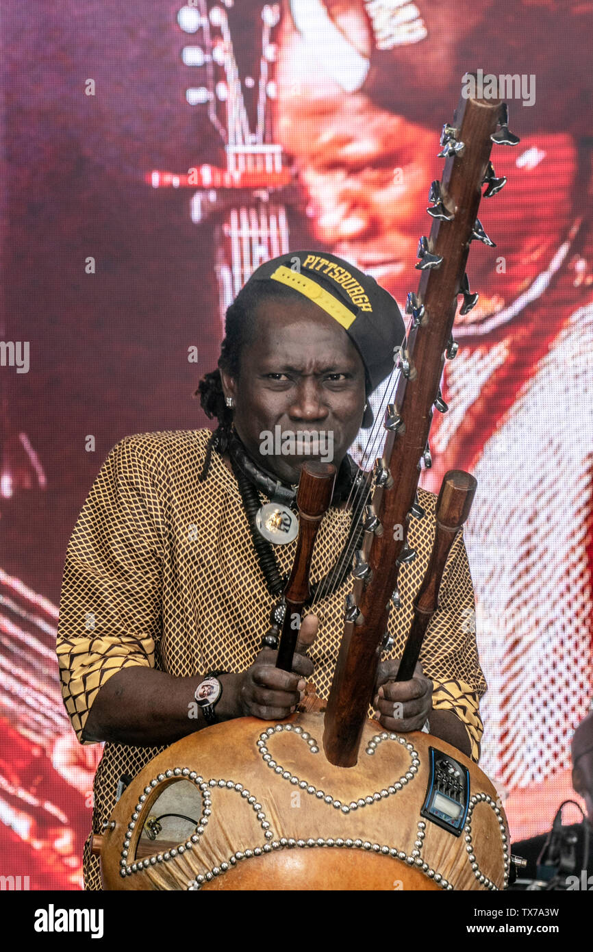 West african 21 string harp lute hi-res stock photography and images ...