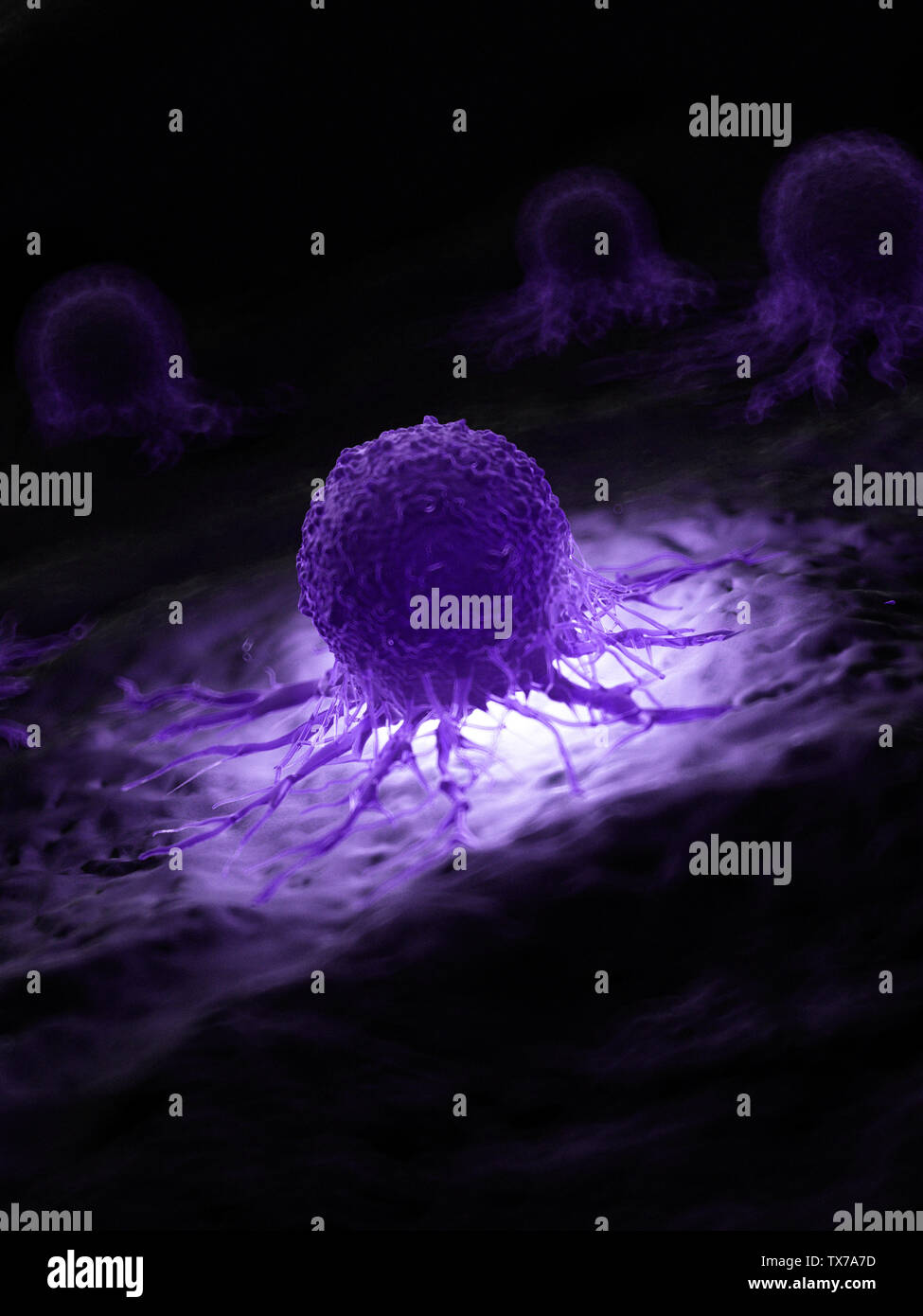 3d rendered medically accurate illustration of a cancer cell Stock ...