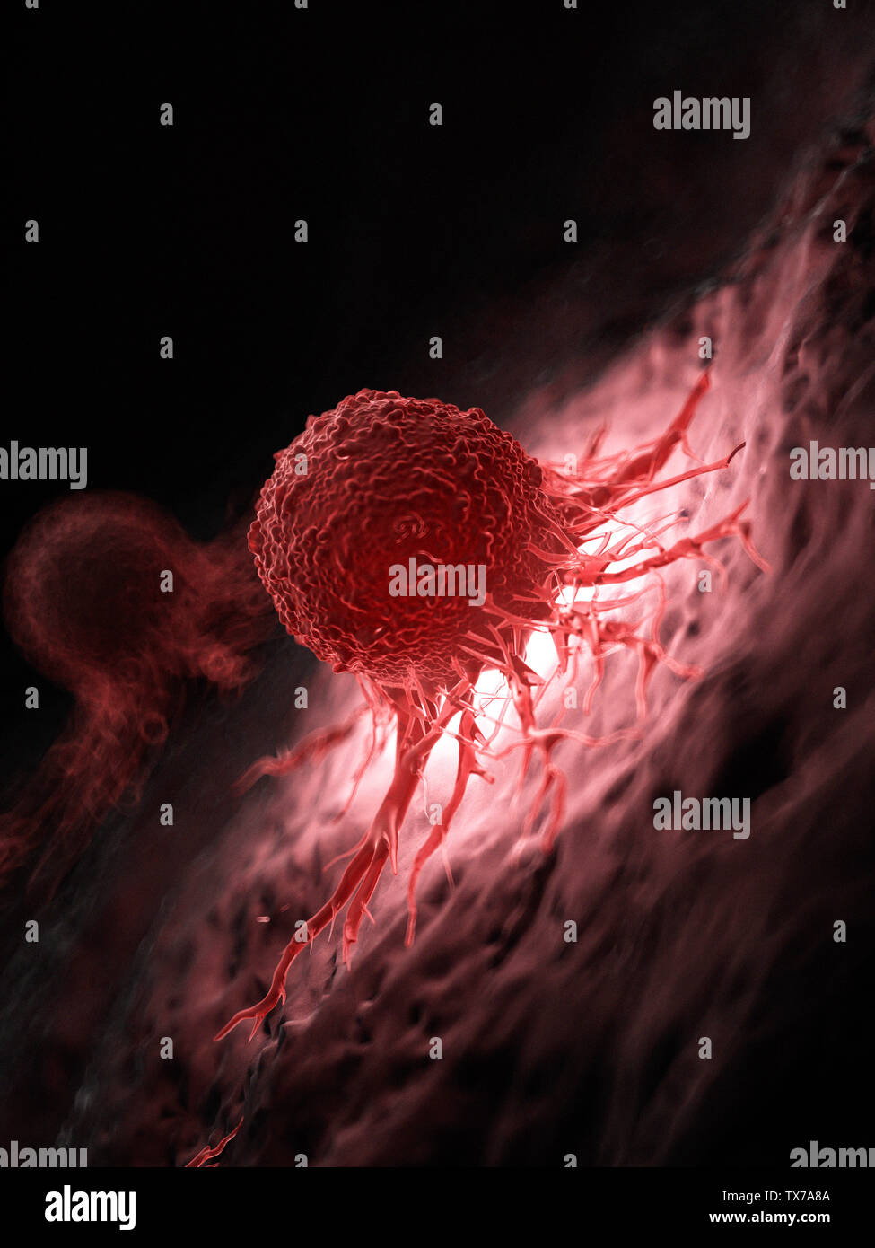 3d rendered medically accurate illustration of a cancer cell Stock ...