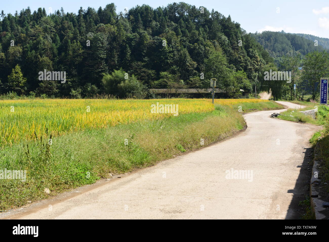 High definition rice hi-res stock photography and images - Alamy