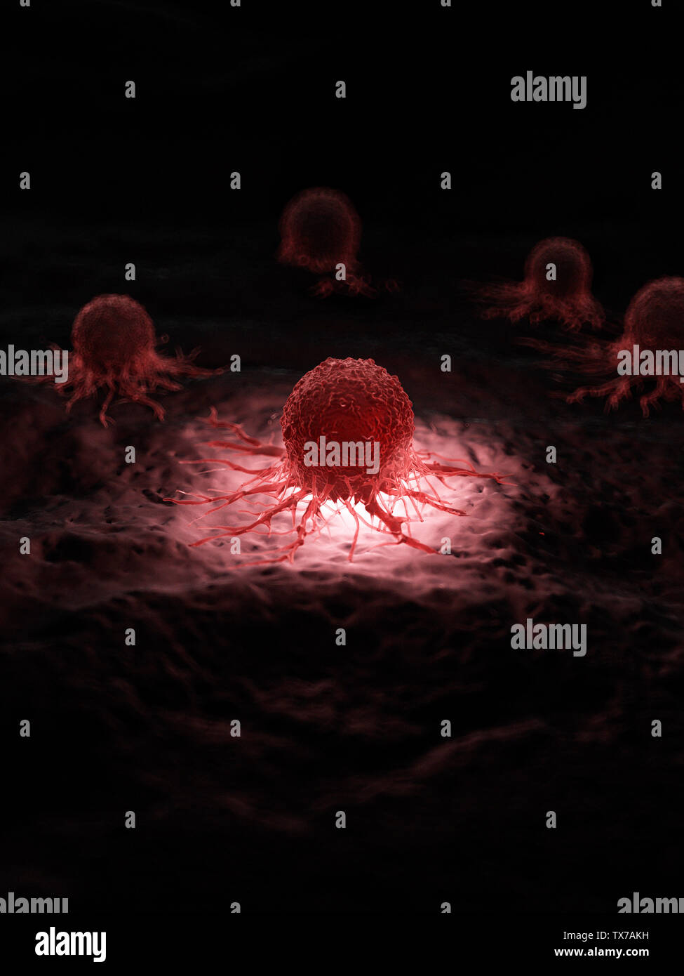 3d rendered medically accurate illustration of a cancer cell Stock ...