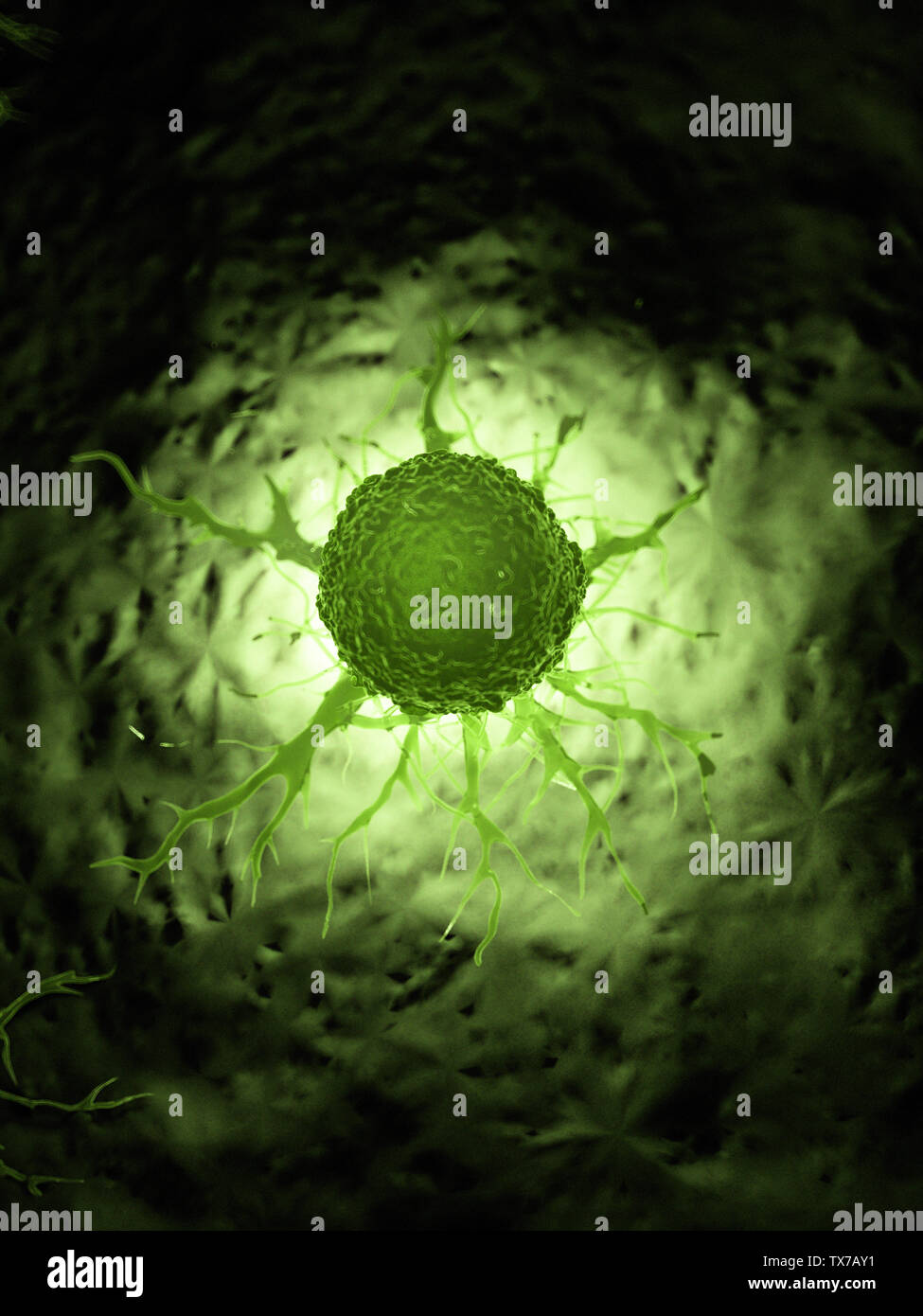 3d rendered medically accurate illustration of a cancer cell Stock ...