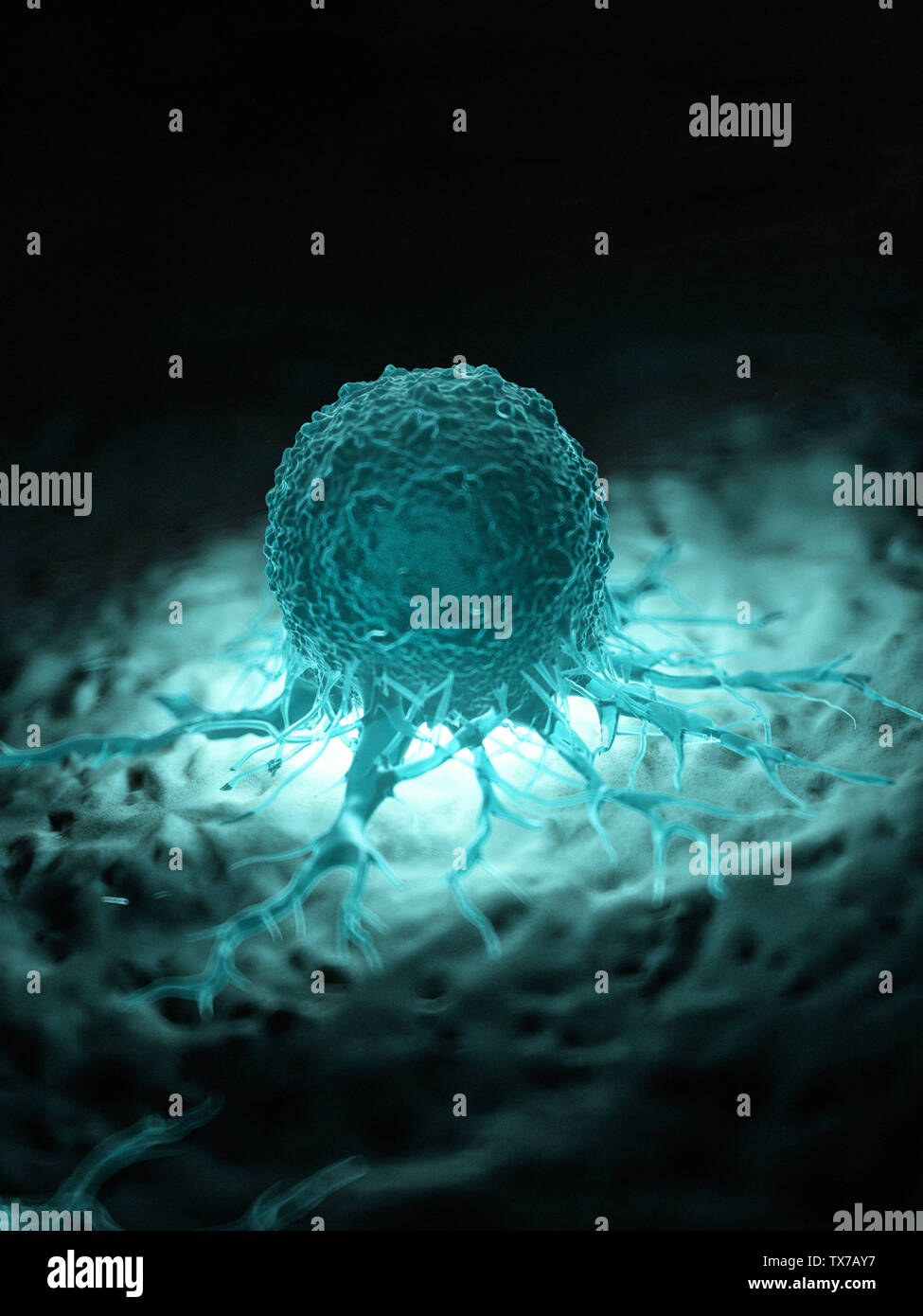 3d rendered medically accurate illustration of a cancer cell Stock ...