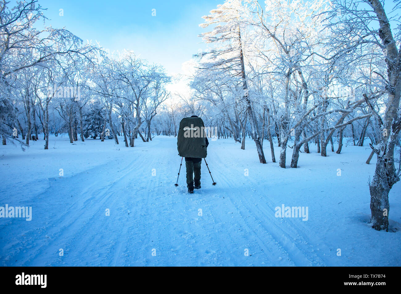 Five pedals hi-res stock photography and images - Alamy