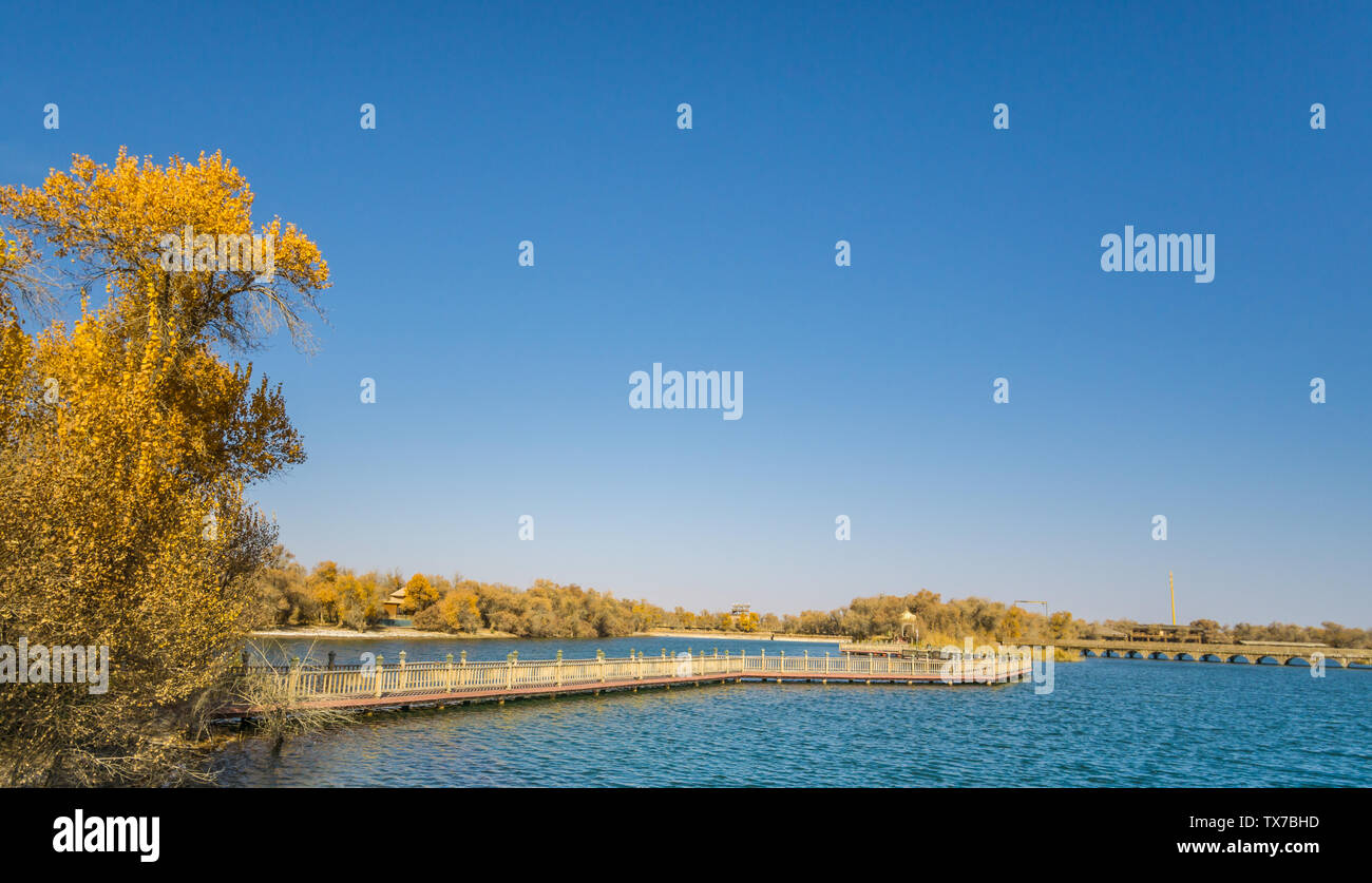 Poplar Lin, lake, reflection, beautiful scenery Stock Photo - Alamy