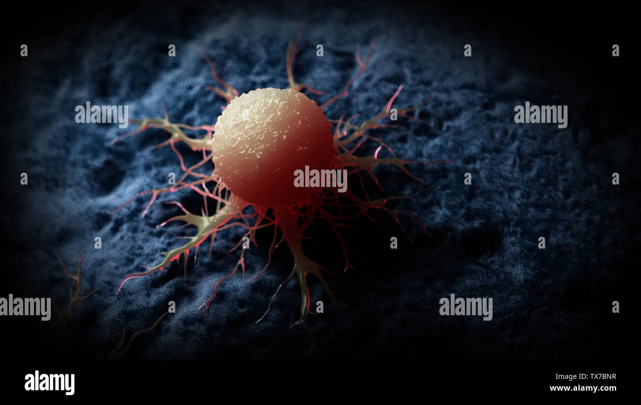 3d rendered medically accurate illustration of a cancer cell Stock ...