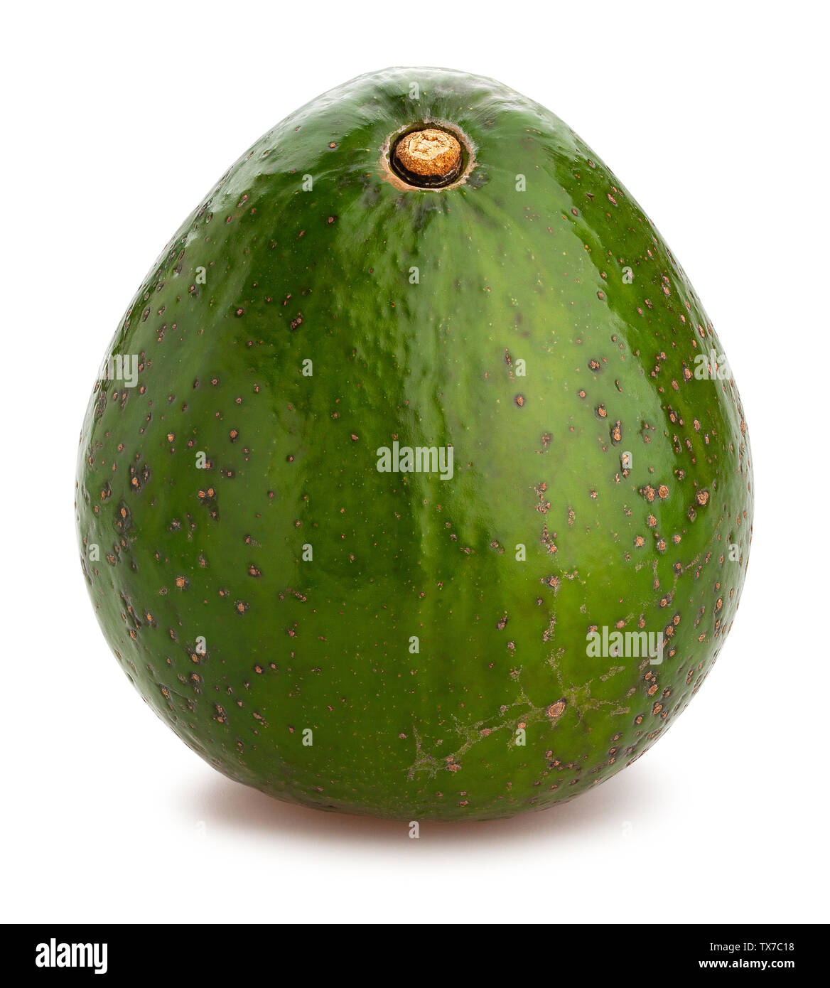 avozilla avocado path isolated on white Stock Photo - Alamy