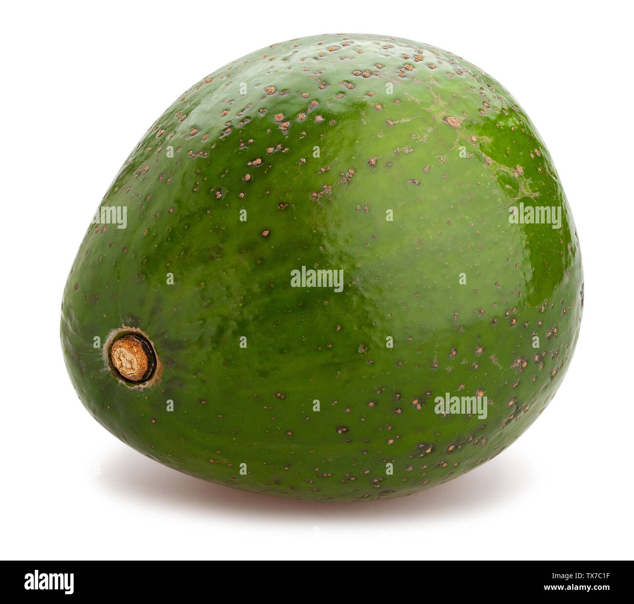 avozilla avocado path isolated on white Stock Photo - Alamy