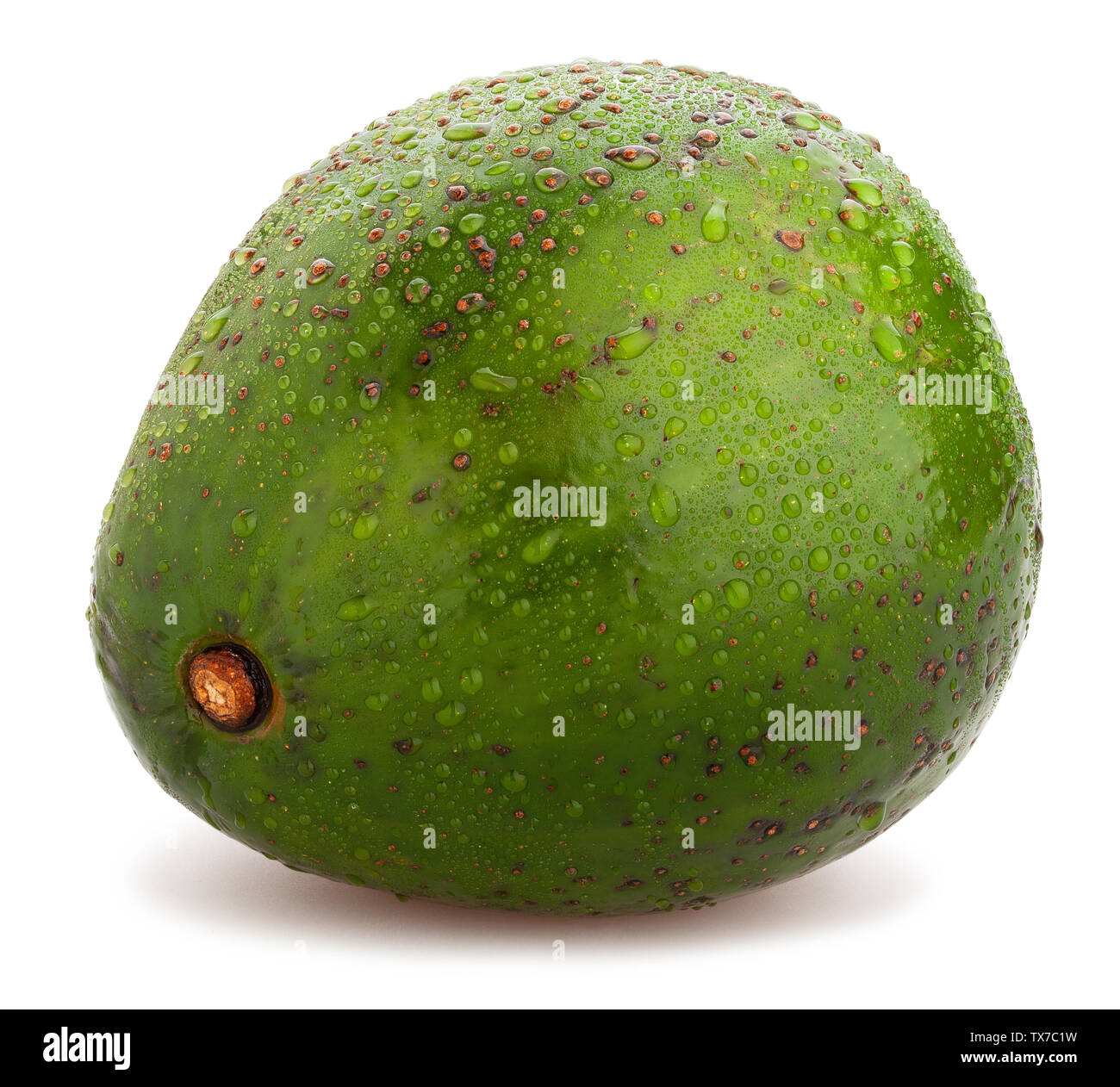 avozilla avocado path isolated on white Stock Photo - Alamy