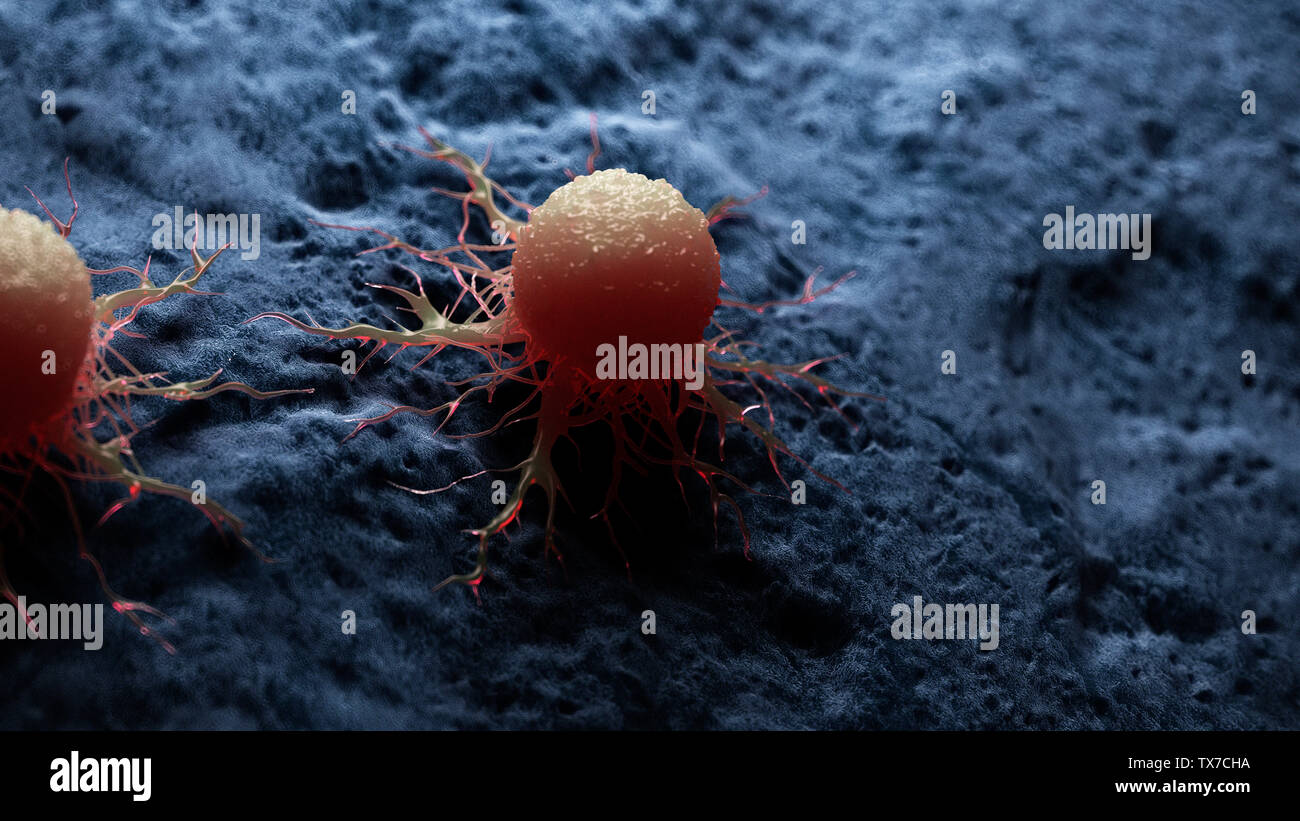 3d rendered medically accurate illustration of a cancer cell Stock ...