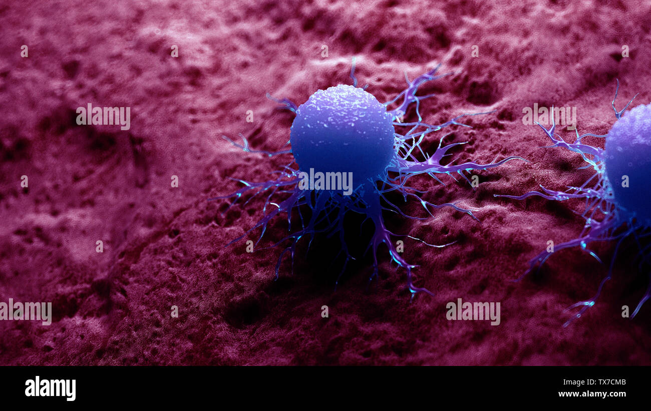 3d rendered medically accurate illustration of a cancer cell Stock ...