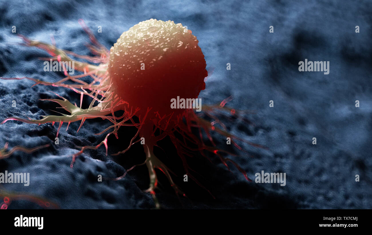 3d rendered medically accurate illustration of a cancer cell Stock ...