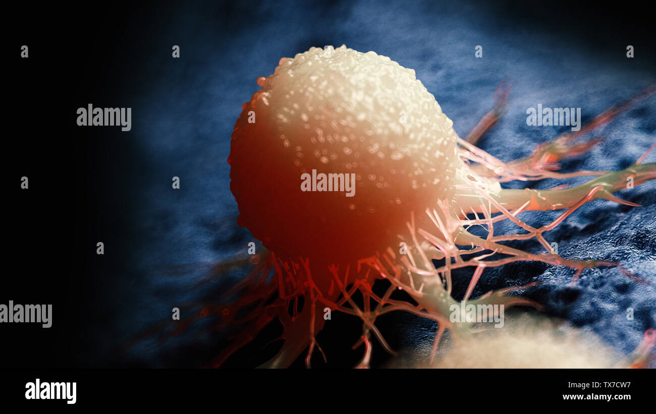 3d rendered medically accurate illustration of a cancer cell Stock ...