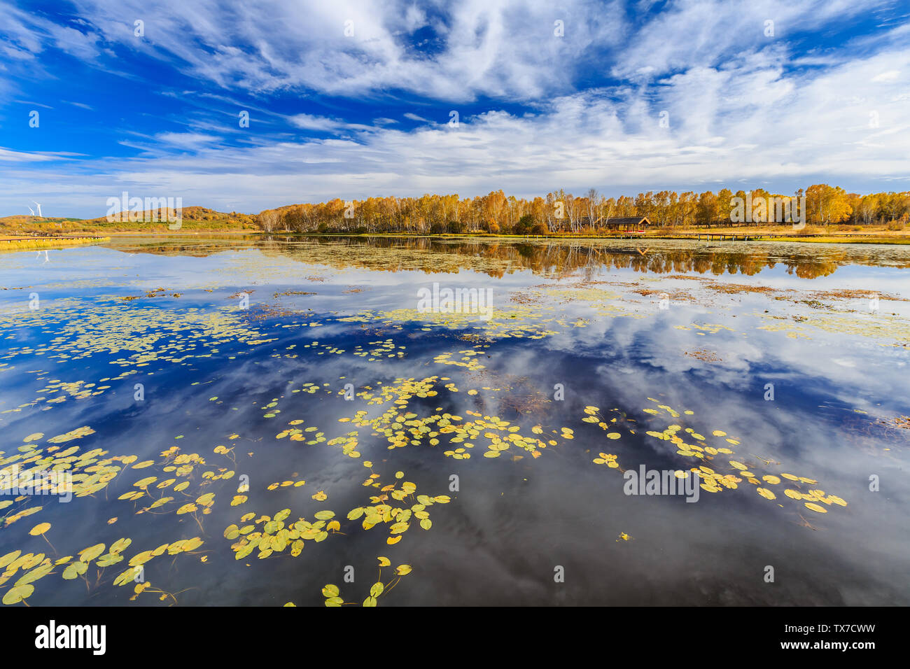 Autumn color of sun lake on paddock dam Stock Photo - Alamy