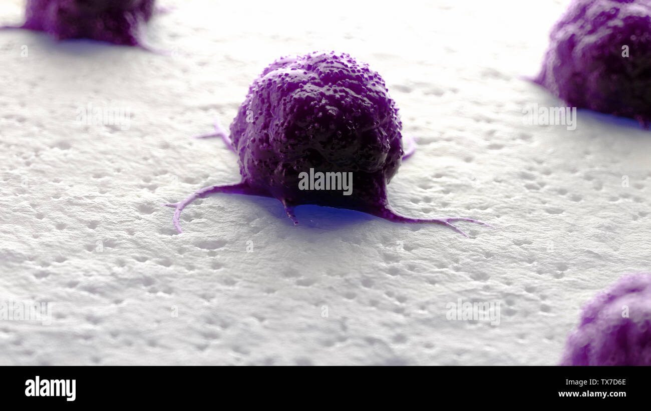 3d rendered medically accurate illustration of a cancer cell Stock ...