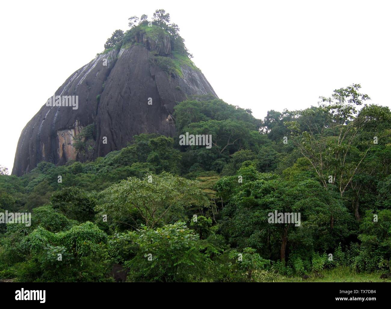 Karinja hi-res stock photography and images - Alamy