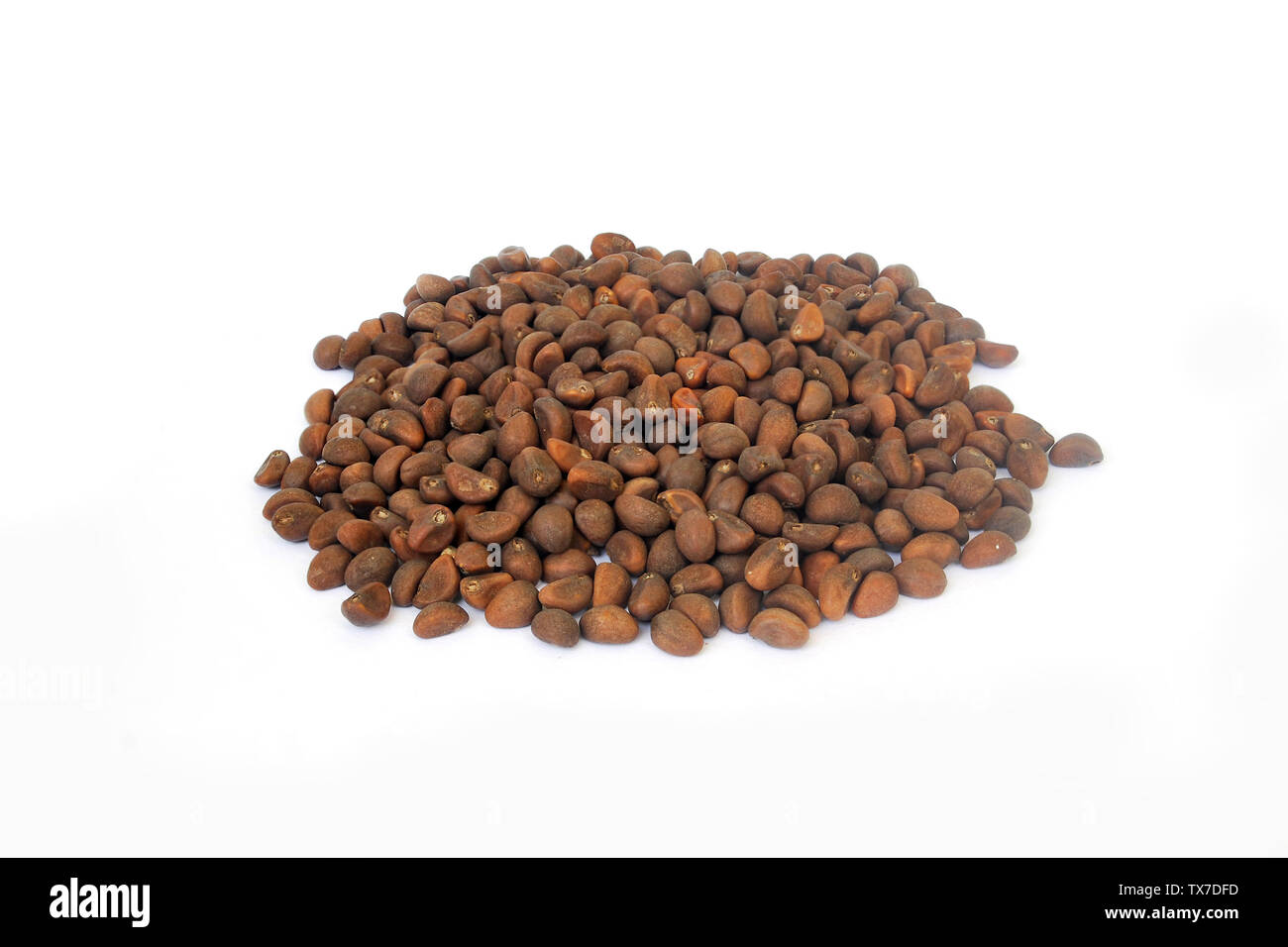 Morning Glory Seed Tea