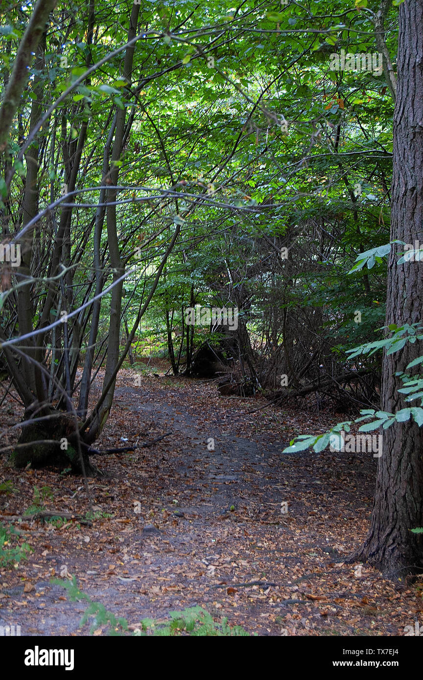 Sussex bridle path Stock Photo - Alamy