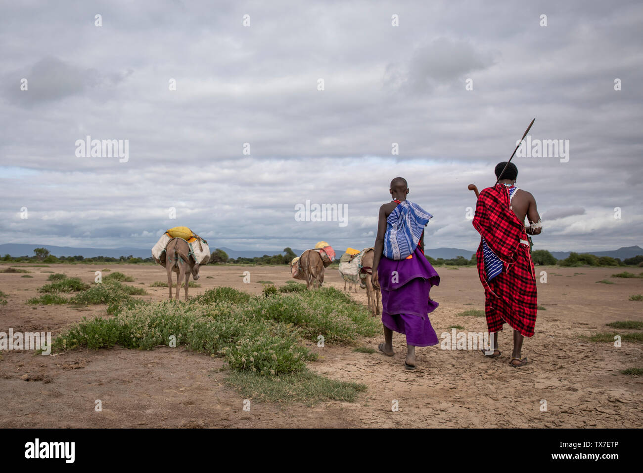 Same, Tanzania, 7th June, 2019: Maasai people traveling in a savannah ...