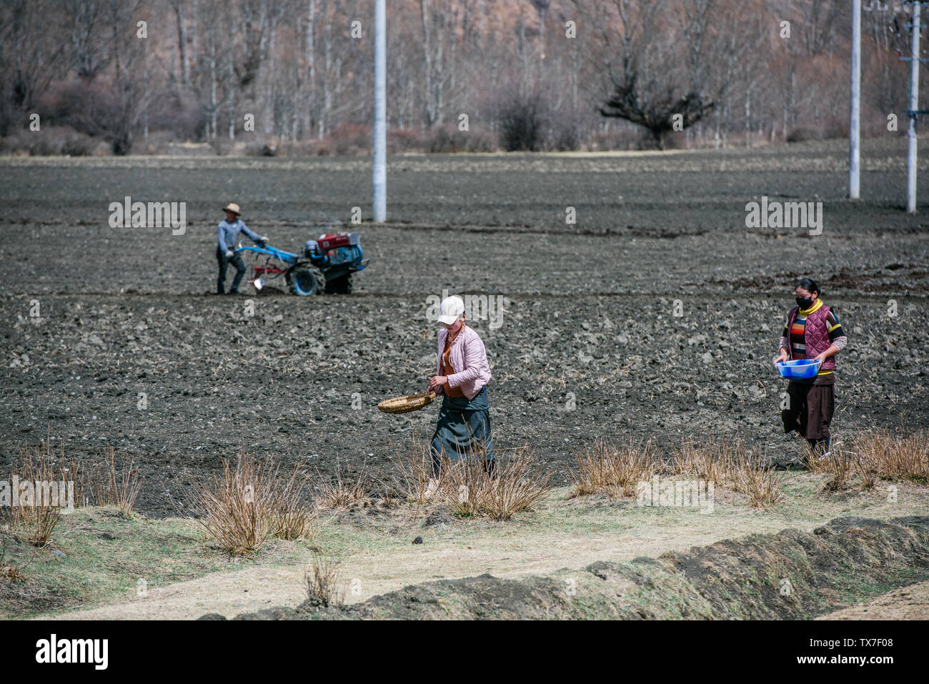 Tibetan spring hi-res stock photography and images - Alamy