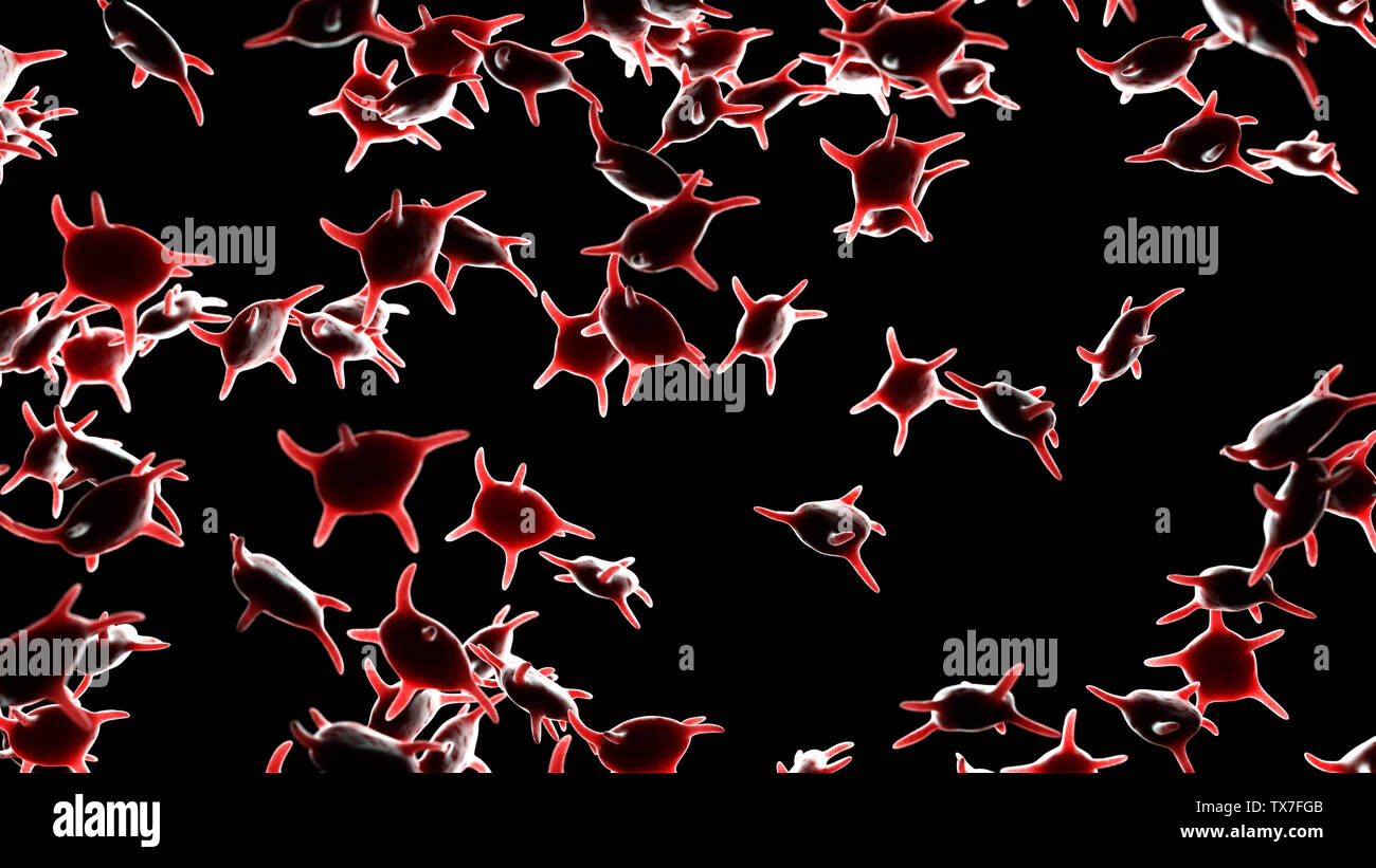 Platelet microscope hi-res stock photography and images - Alamy