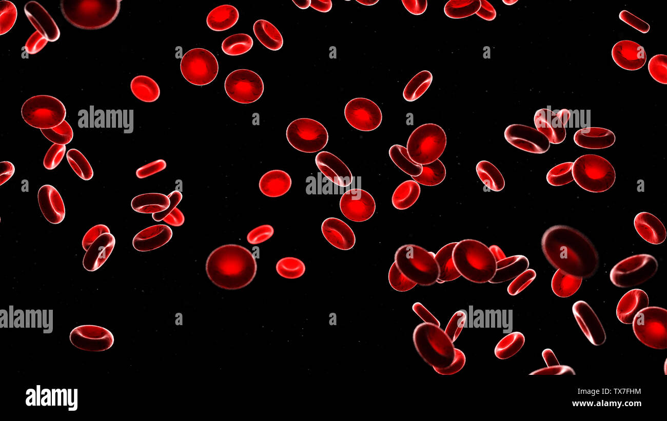 3d rendered medically accurate illustration of human blood cells Stock ...