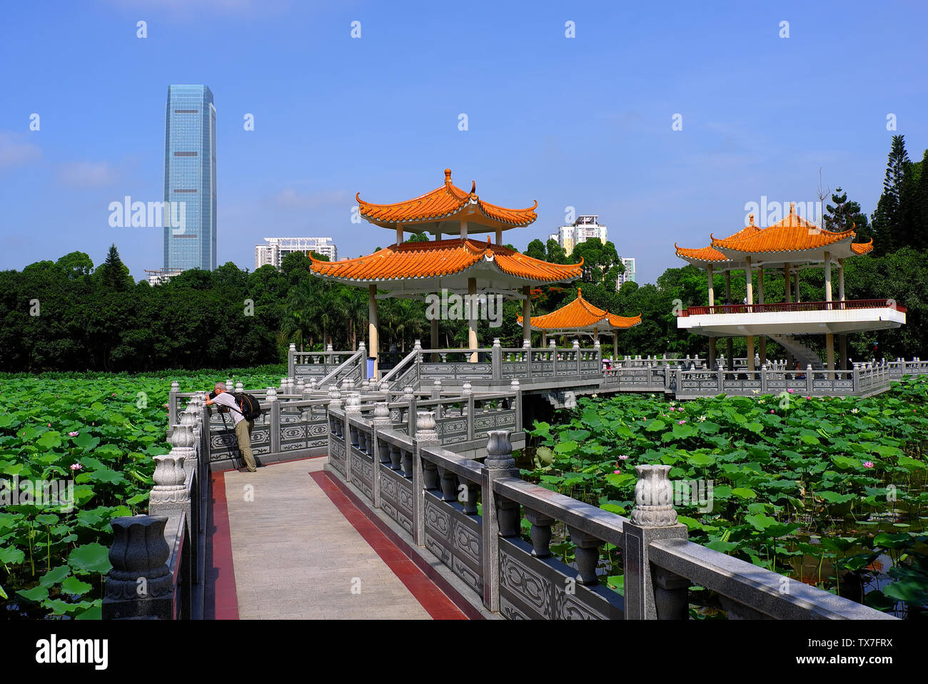Honghu hi-res stock photography and images - Alamy