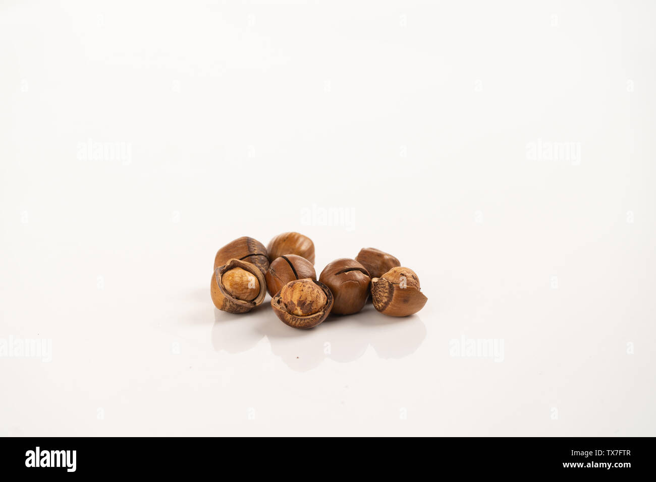 Northeast characteristic open hazelnut Stock Photo - Alamy