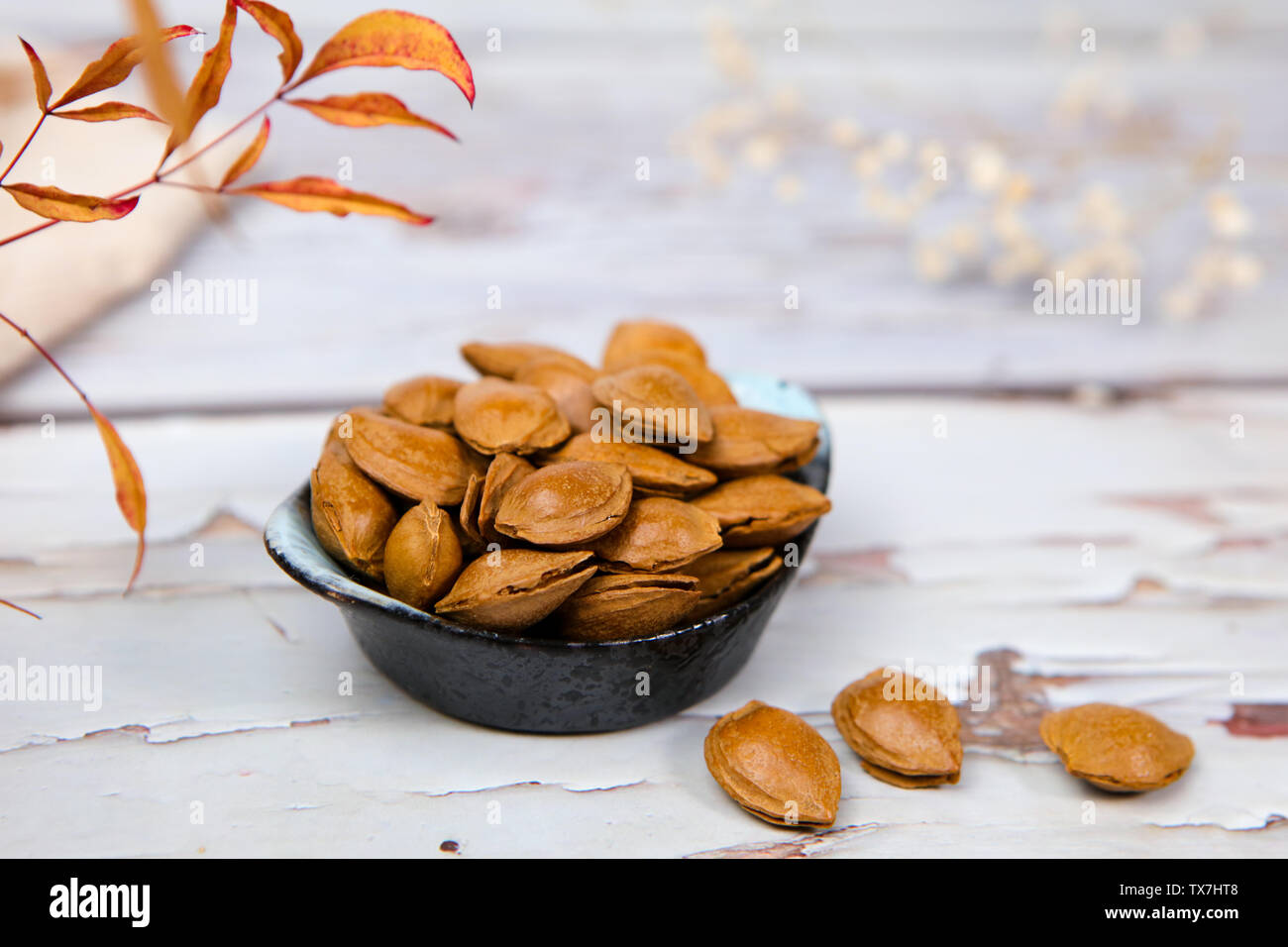Open small ginkgo biloba hi-res stock photography and images - Alamy
