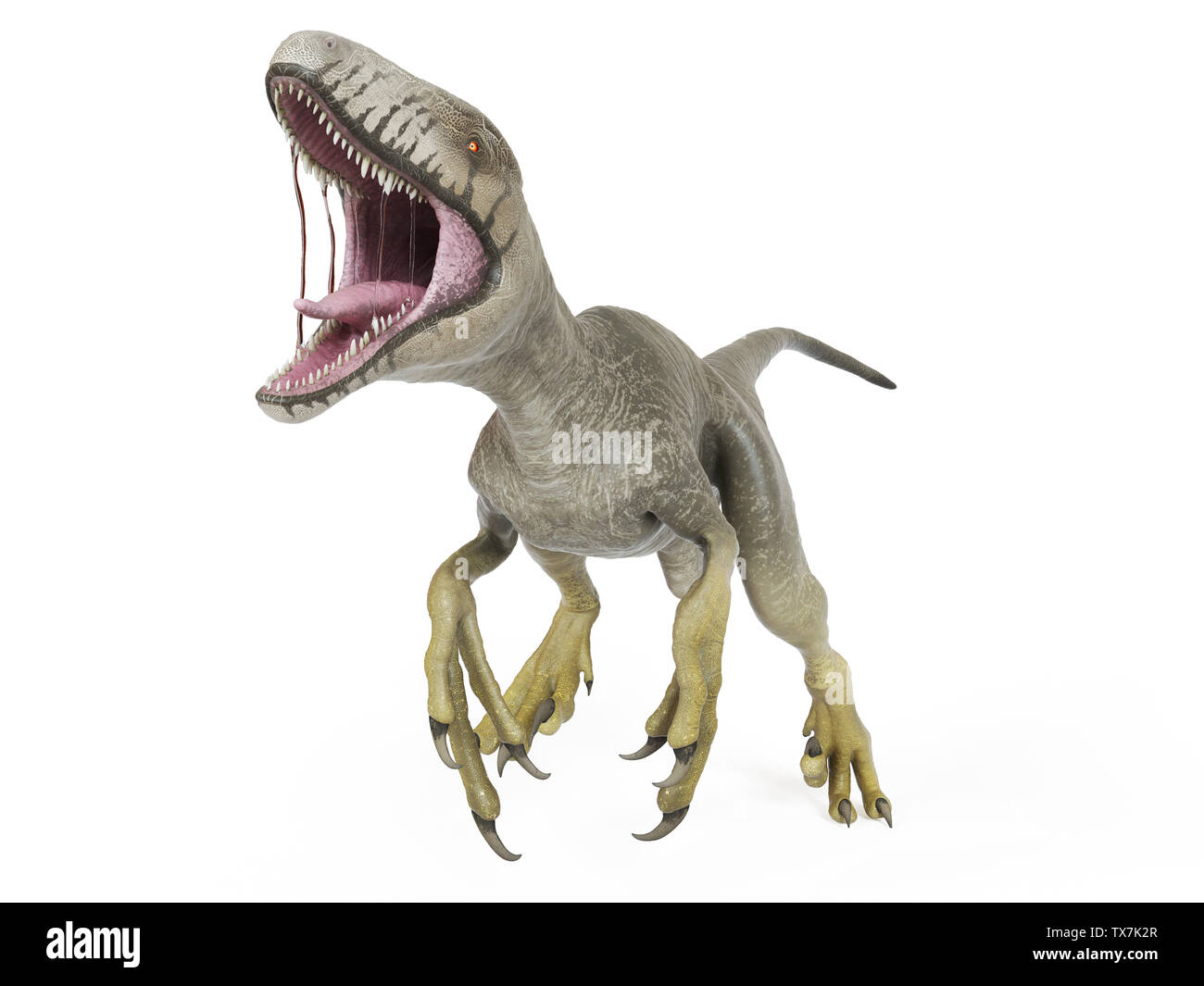 Dakotaraptor hi-res stock photography and images - Alamy