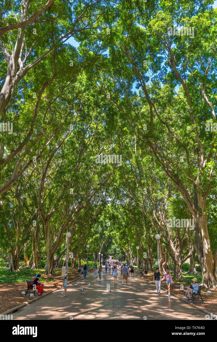 Hyde Park Sydney Stock Photos & Hyde Park Sydney Stock Images - Alamy