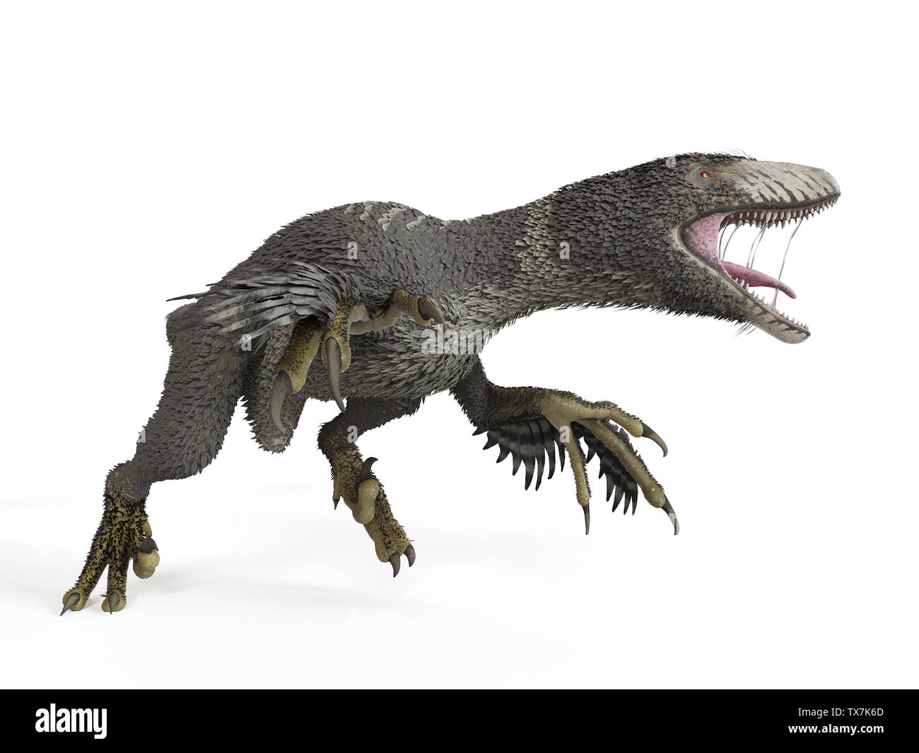 Dakotaraptor hi-res stock photography and images - Alamy