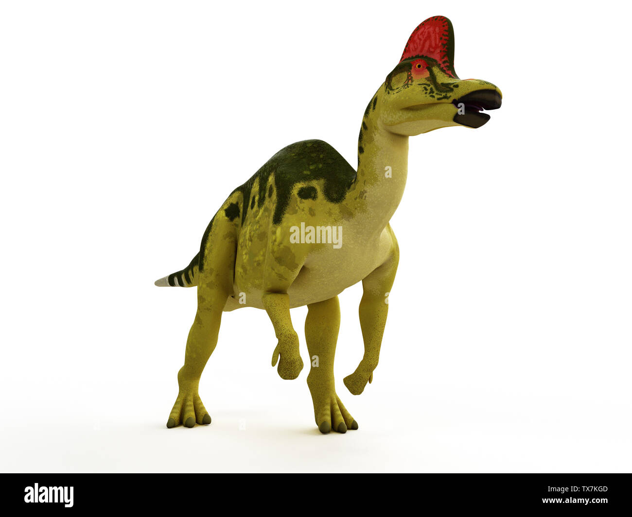 3d rendered illustration of a Hadro Corythosaurus Stock Photo - Alamy