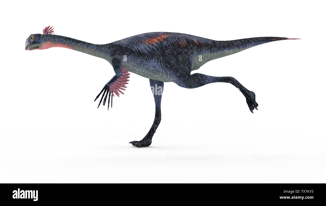 Gigantoraptor dinosaur hi-res stock photography and images - Alamy