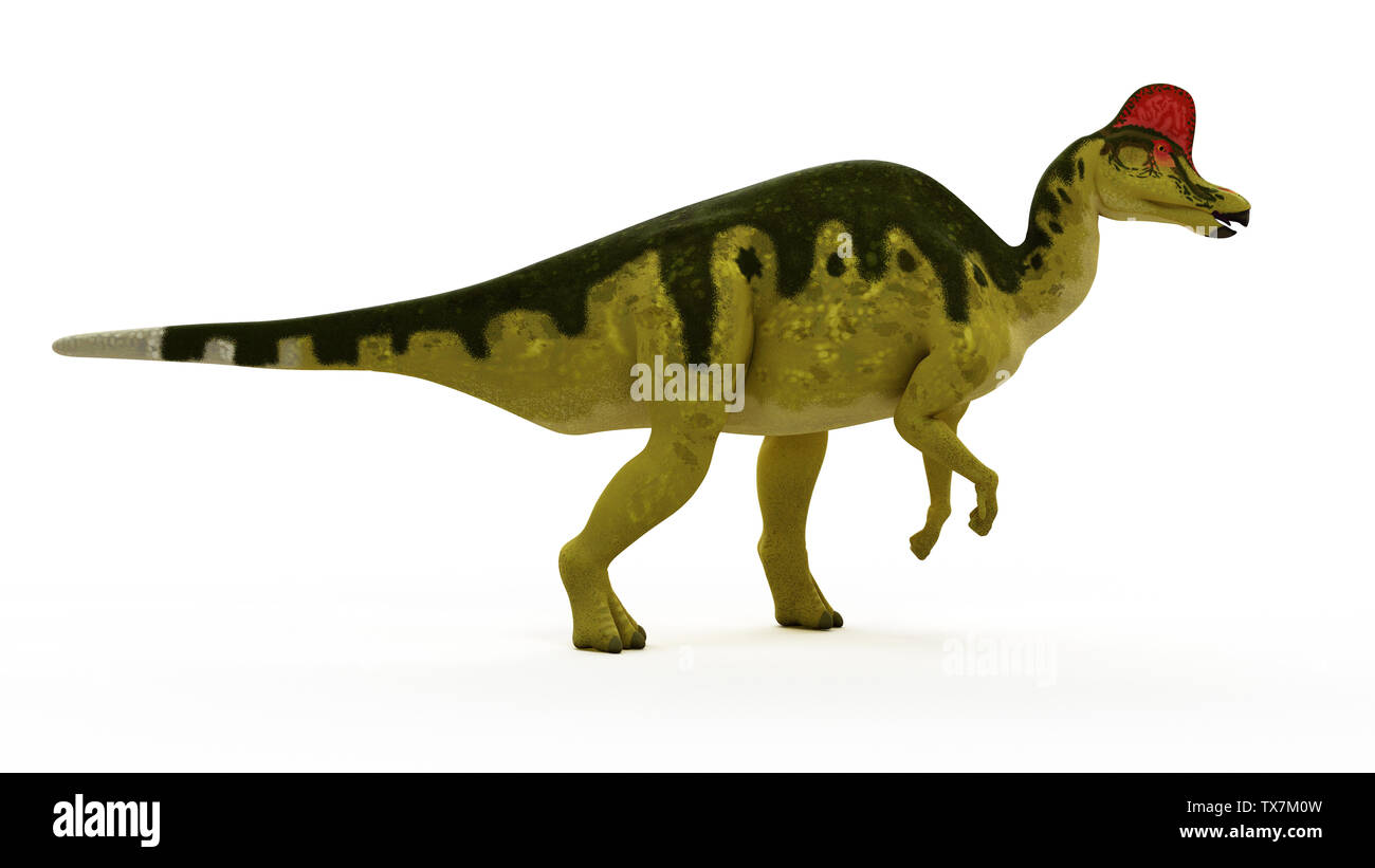 Hadro corythosaurus hi-res stock photography and images - Alamy