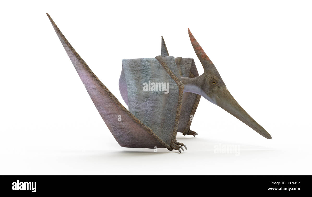 3d rendered illustration of a Pteranodon Stock Photo - Alamy