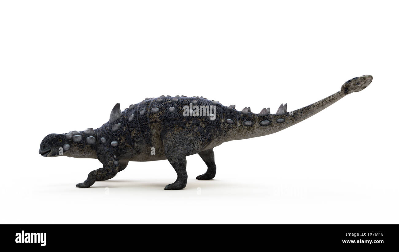 Euoplocephalus hi-res stock photography and images - Alamy