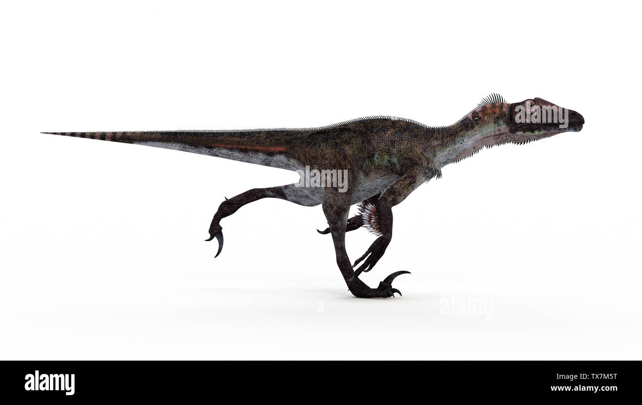 Utahraptor hi-res stock photography and images - Alamy