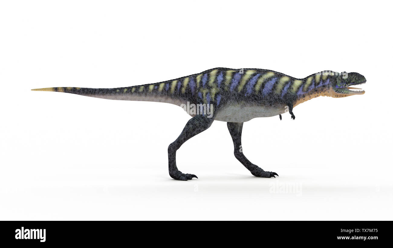 Aucasaurus High Resolution Stock Photography and Images - Alamy