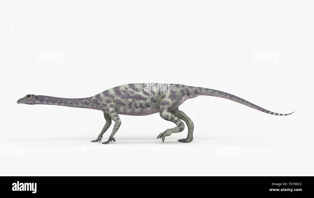 3d rendered illustration of a anchisaurus Stock Photo - Alamy