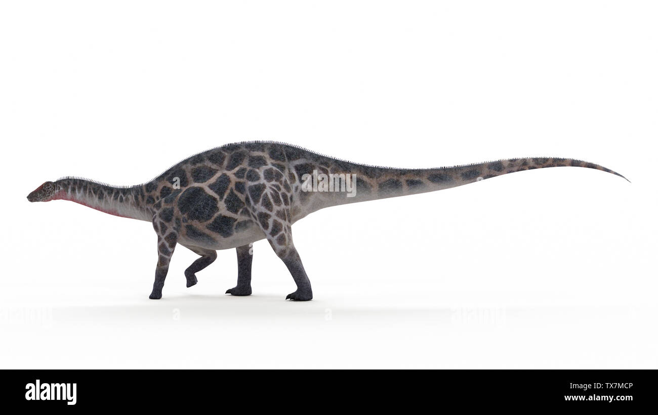 3d rendered illustration of a Dicraeosaurus Stock Photo - Alamy