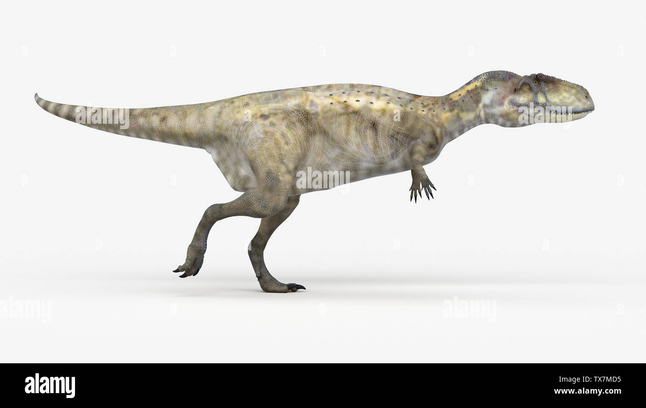 Abelisaurus hi-res stock photography and images - Alamy