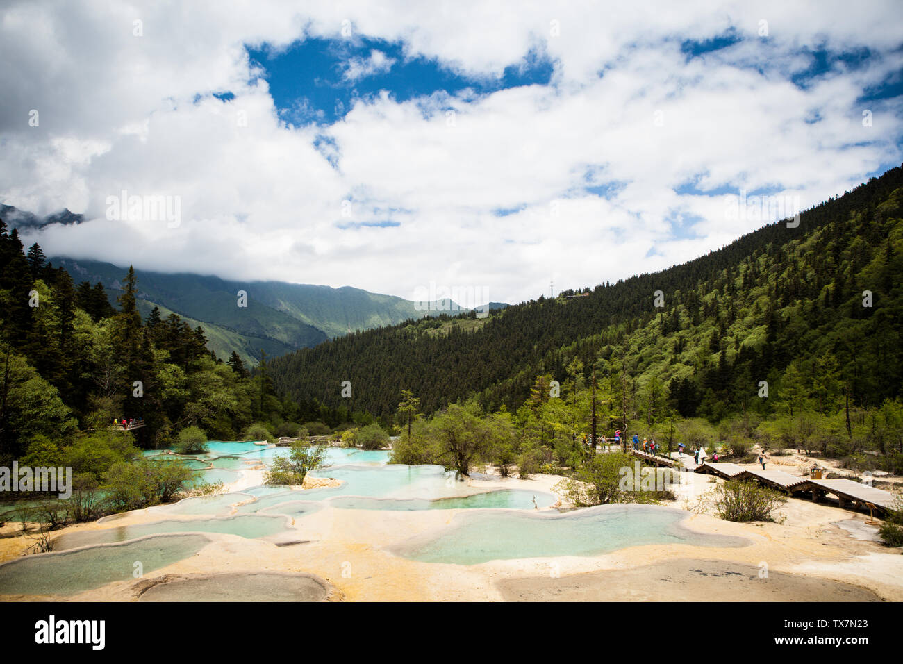 Majestic trees and tall landforms and terrain and daylight landmarks hi ...