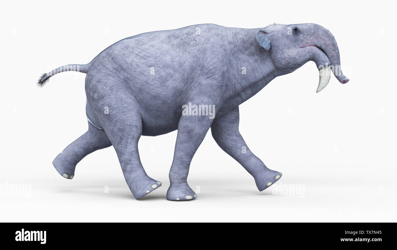 3d rendered illustration of a deinotherium Stock Photo - Alamy