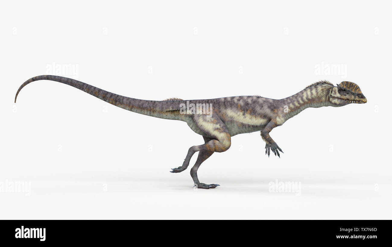 3d rendered illustration of a dilophosaurus Stock Photo - Alamy