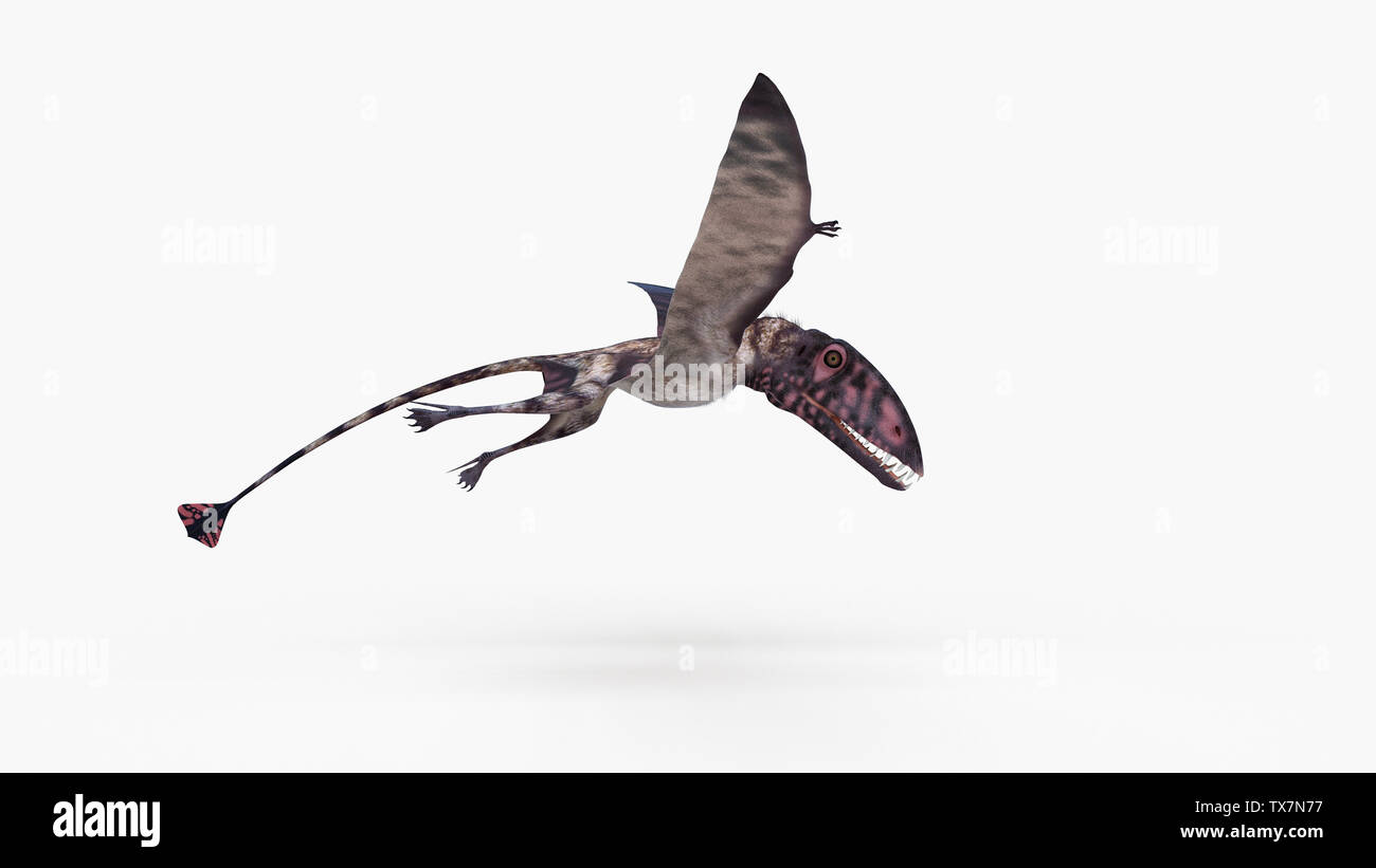 Dimorphodon hi-res stock photography and images - Alamy